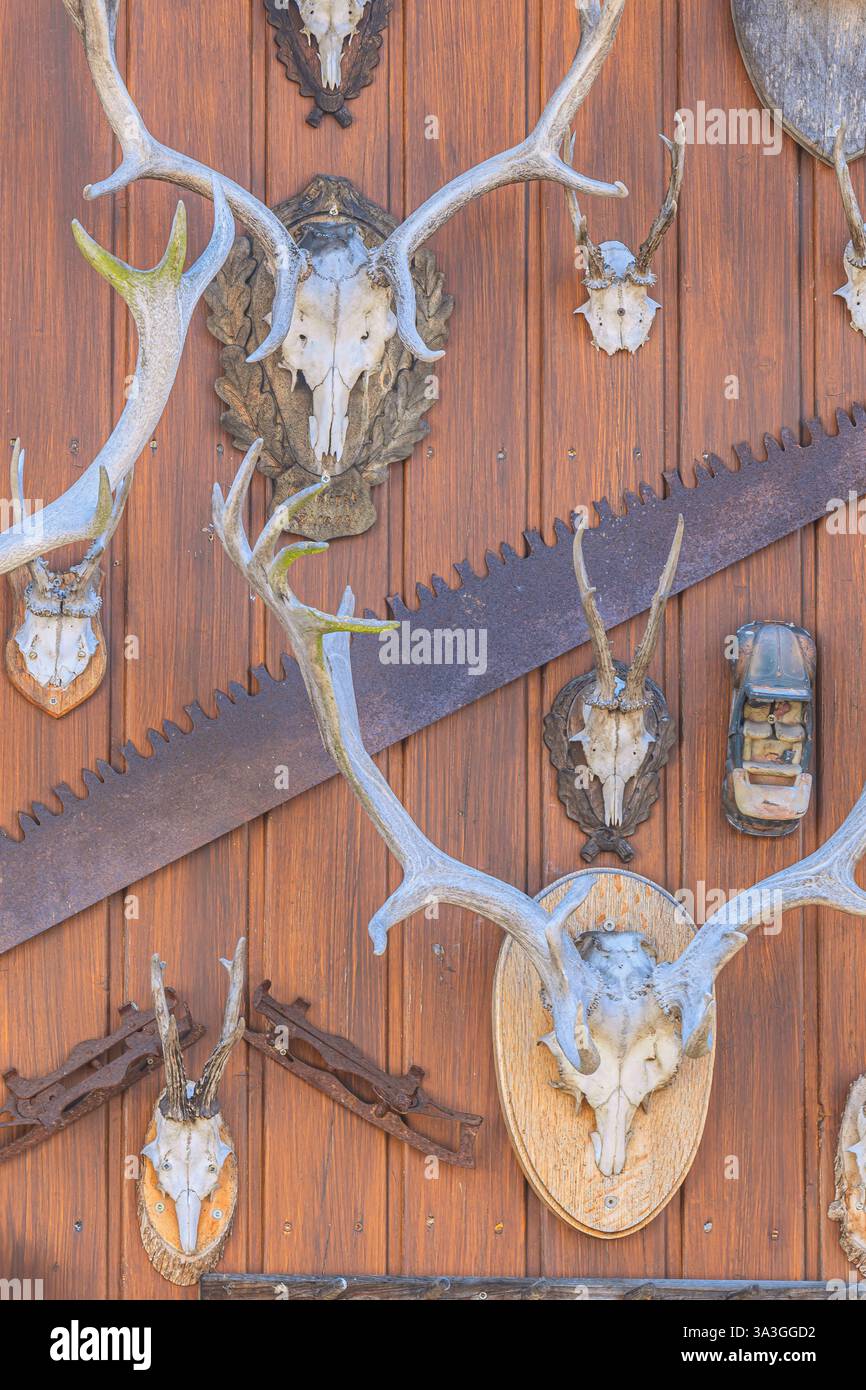 Unique skulls hi-res stock photography and images - Alamy