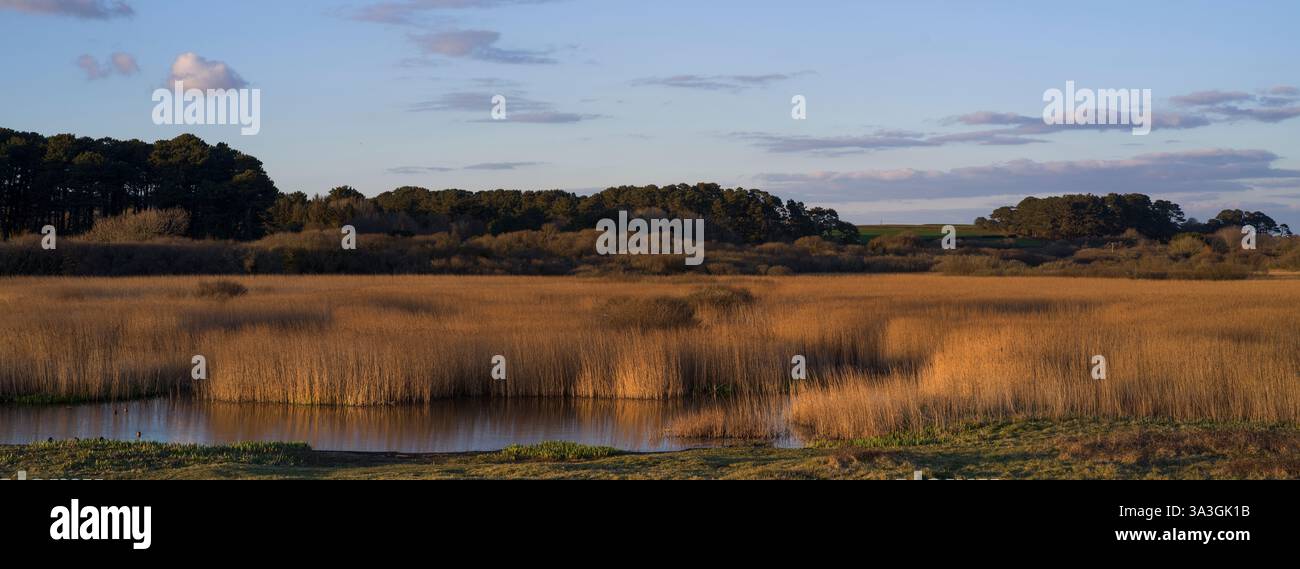 Vening sun hi-res stock photography and images - Alamy