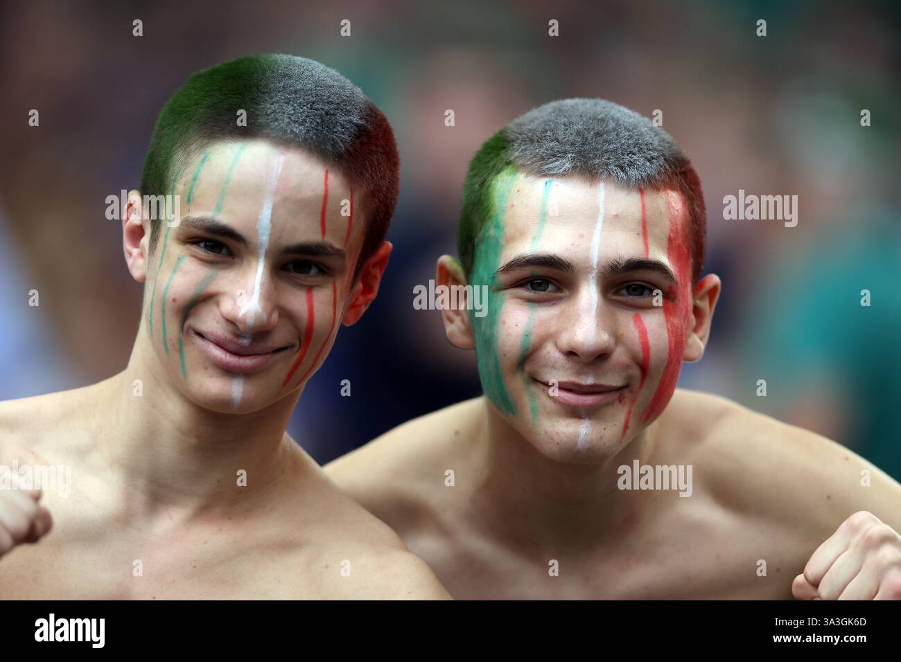 Italian fans with colored faces on the stand during the M6N Guinness ...