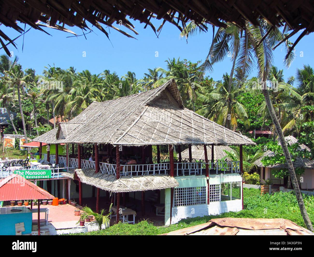 palm tree roof in india, building and construction with natural ...