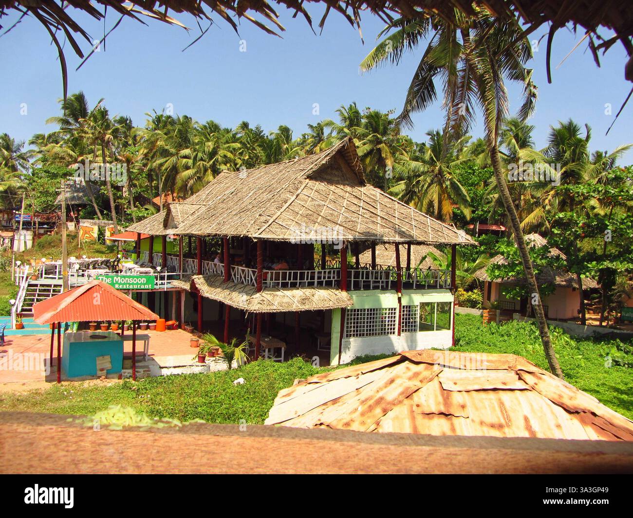 palm tree roof in india, building and construction with natural ...