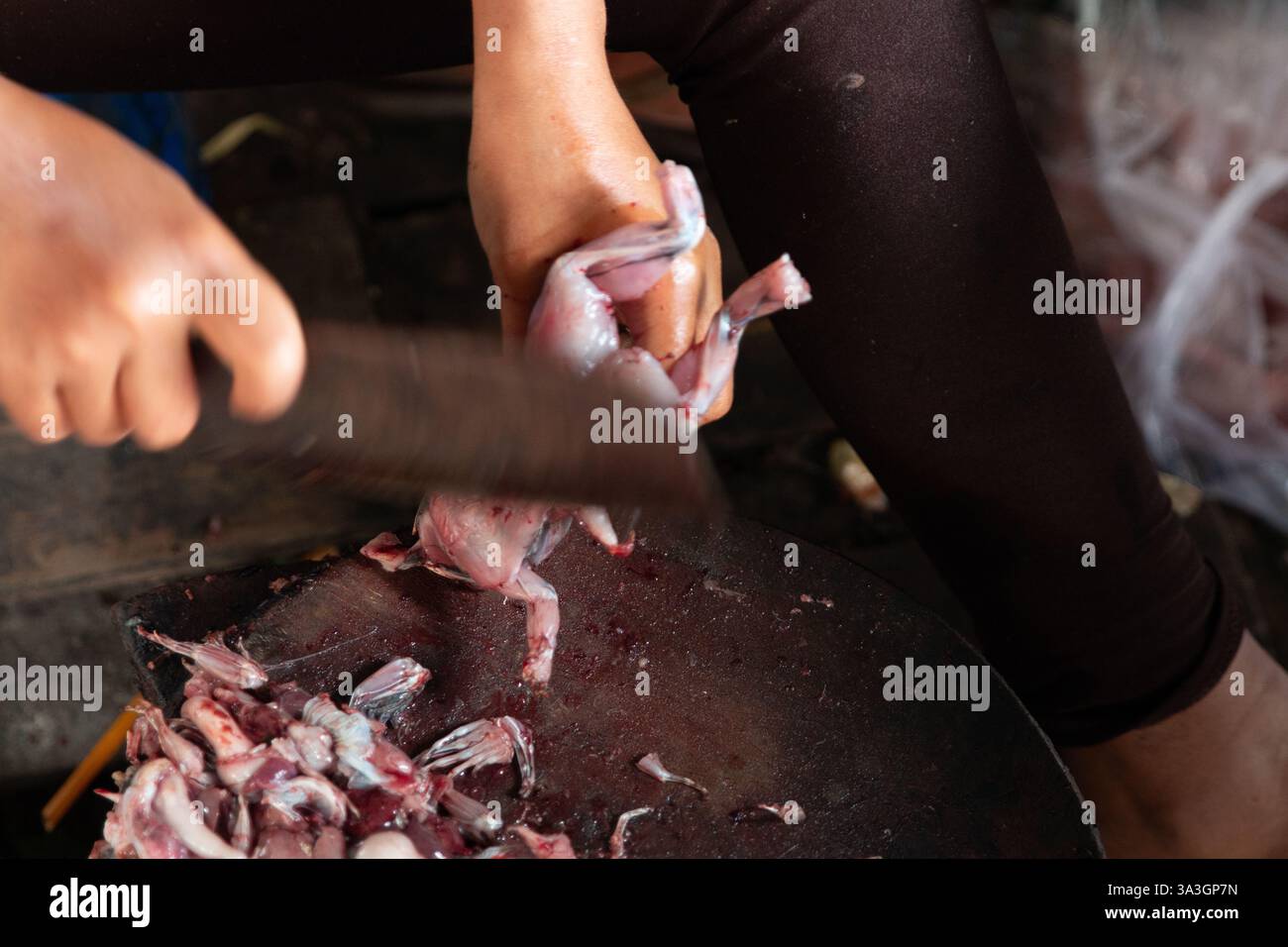Dressing frog meat hi-res stock photography and images - Alamy