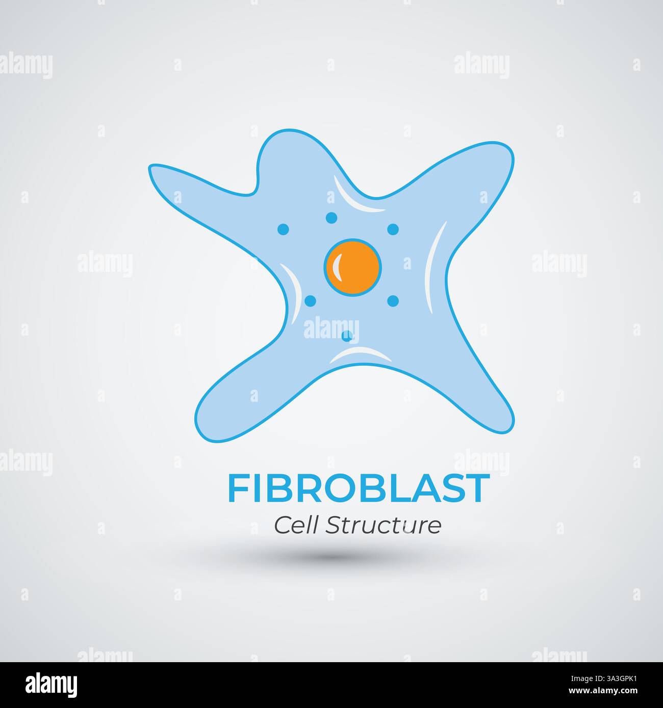 Fibroblast Cell structure Logo Design Vector Illustration Stock Vector ...