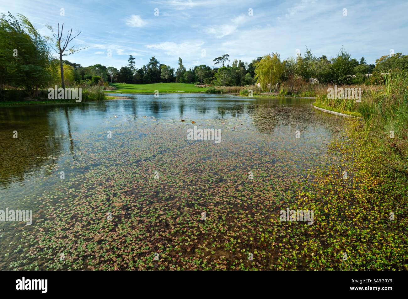 Garden designed by Bas Smets in Parc des Ateliers, Luma Tower by Frank ...