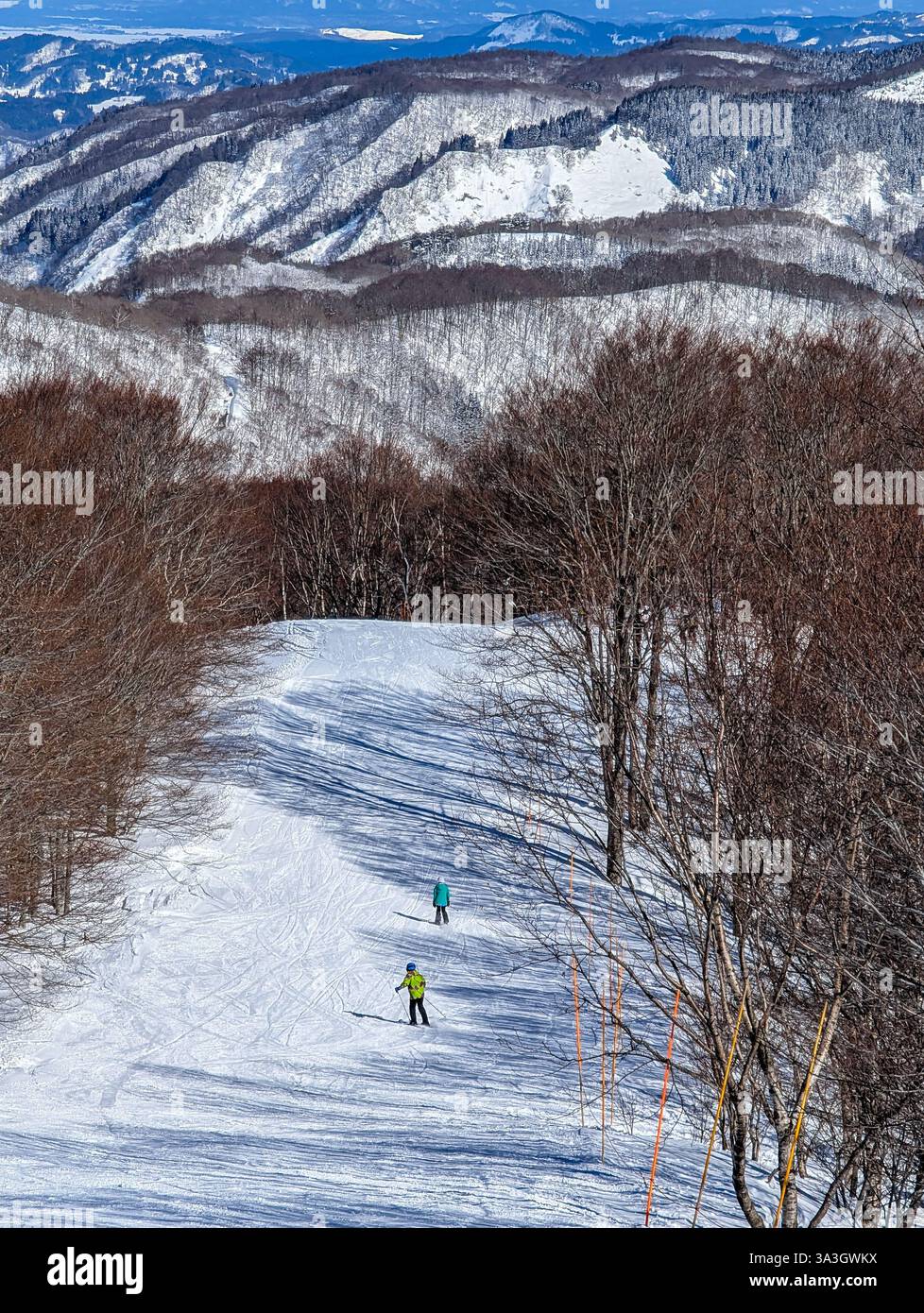 Skiers on a ski slope with mountain backdrop in Madarao, Nagano Stock ...