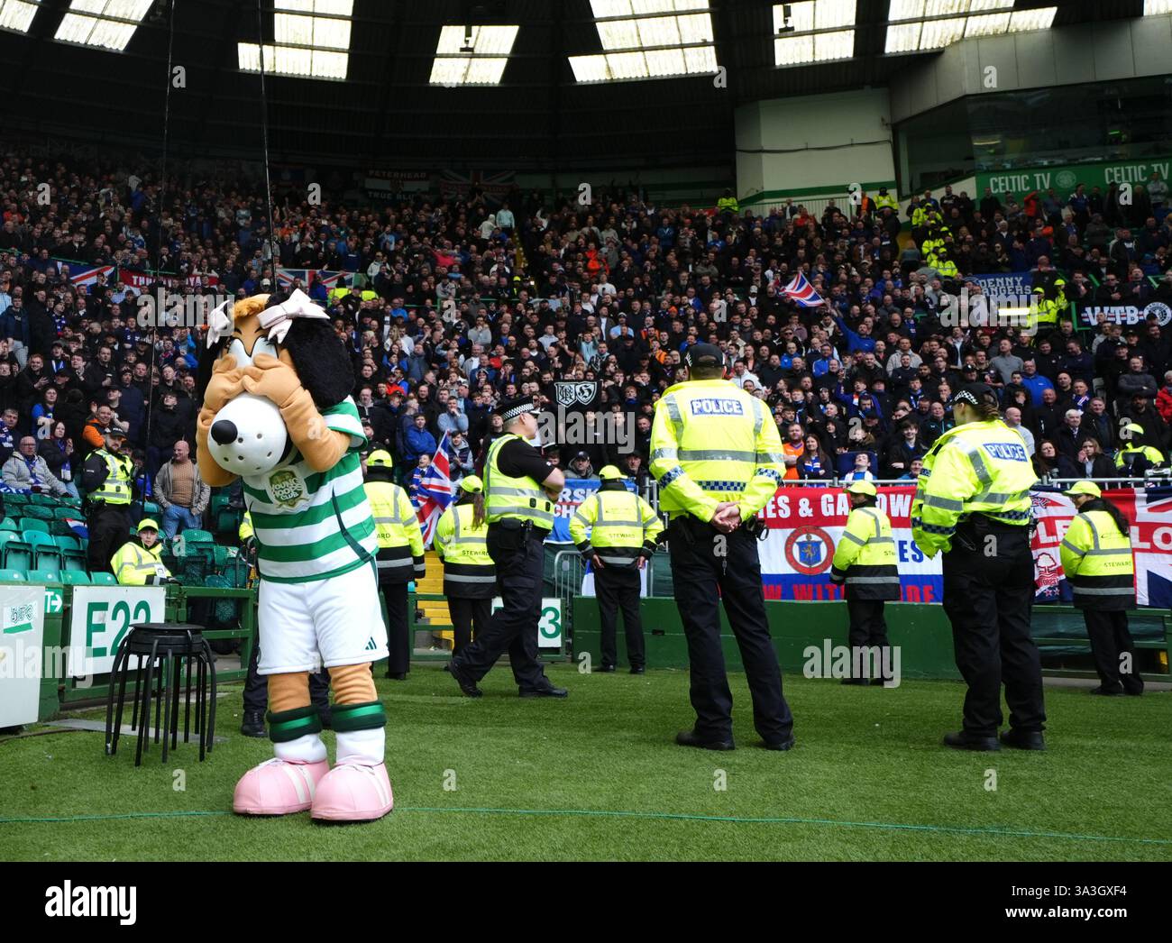 Celtic mascot hoopy the huddle hound hi-res stock photography and ...