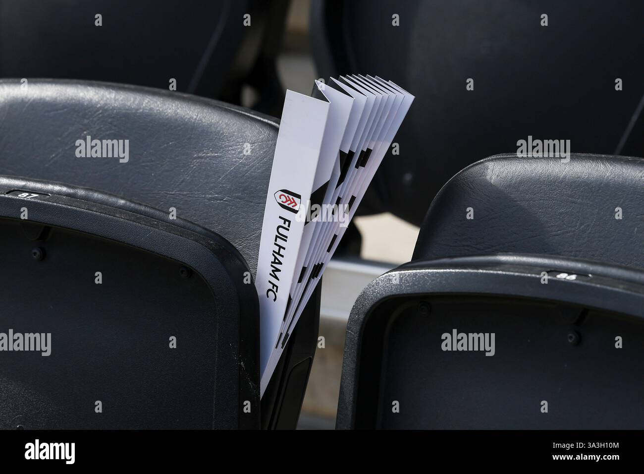 Craven Cottage, Fulham, London, UK. 16th Mar, 2025. Premier League ...