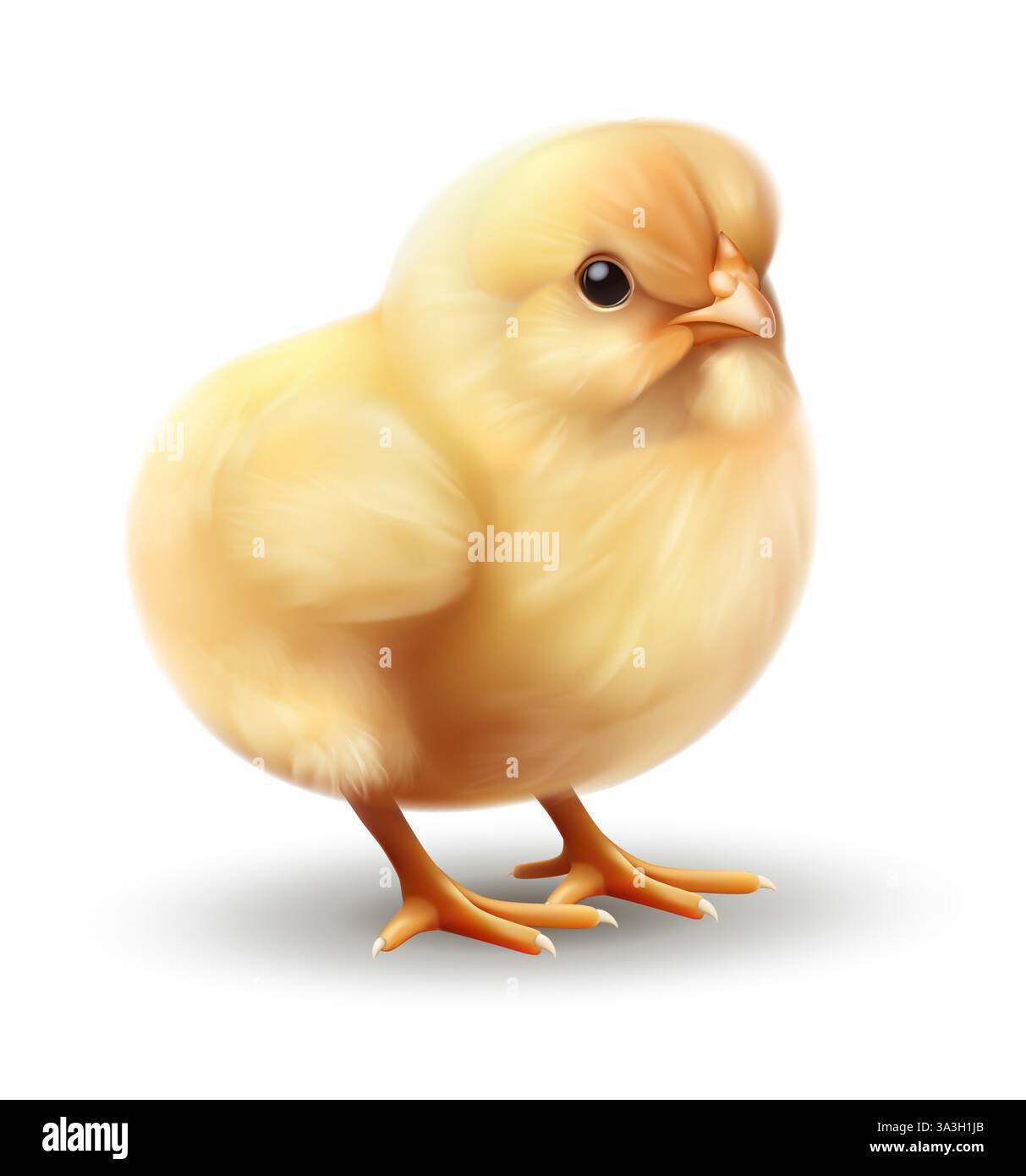 Cute yellow chick in realistic vector Stock Vector Image & Art - Alamy