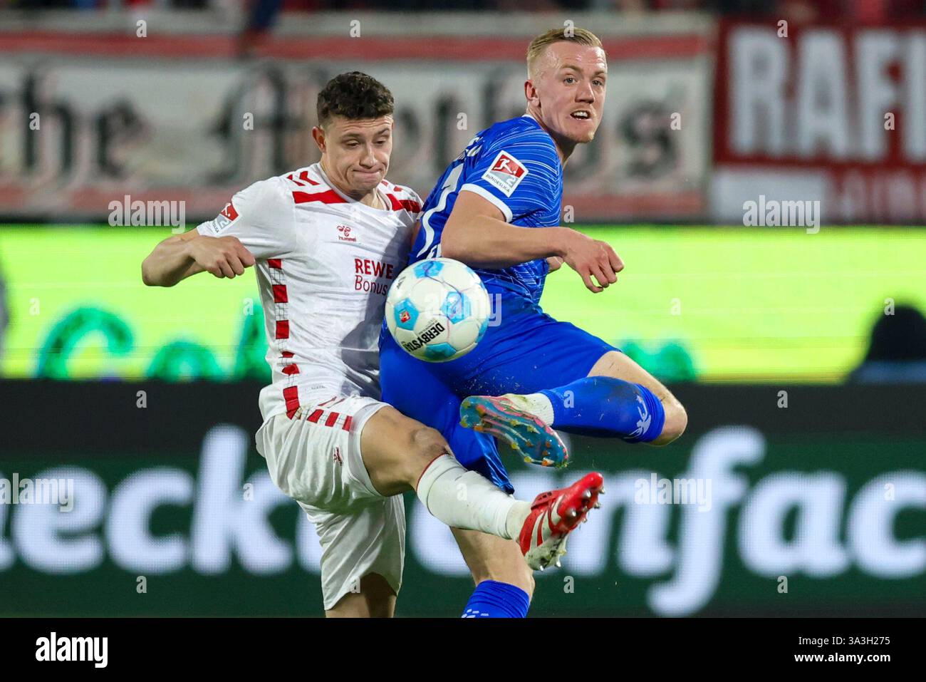 15 March 2025, North Rhine-Westphalia, Essen: Soccer: 2nd division, 1. FC Köln - SV Darmstadt 98 ...