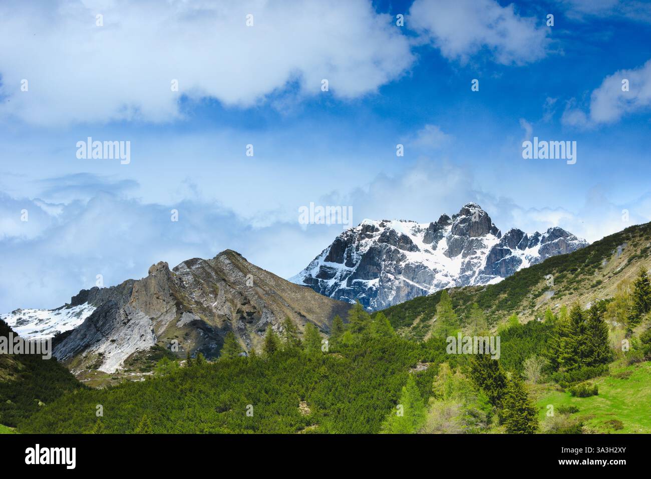 Torre da lago hi-res stock photography and images - Alamy