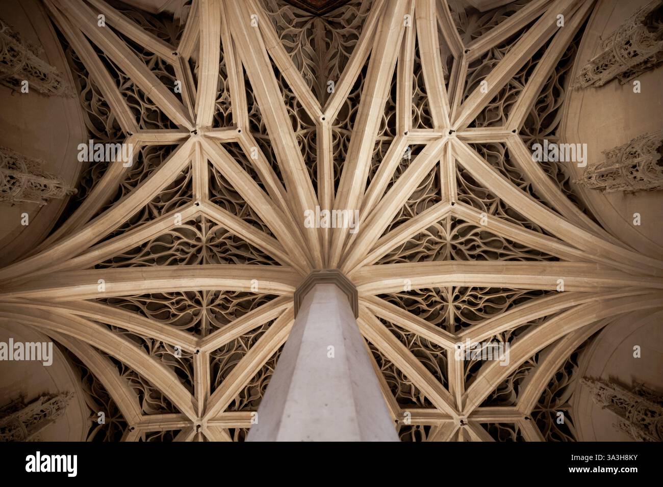 The ornate design of a vaulted ceiling showcases detailed stonework and ...