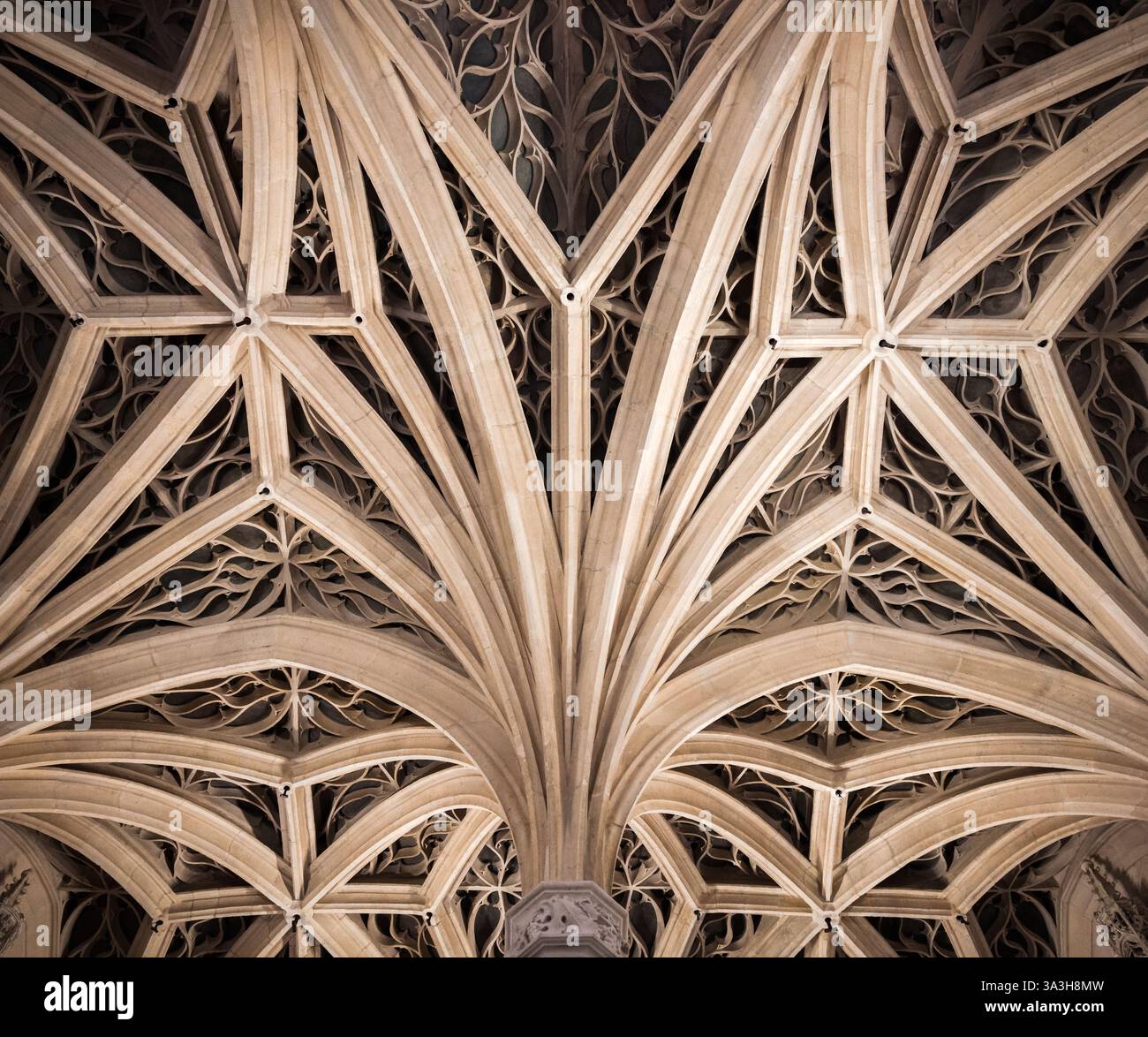 The ornate design of a vaulted ceiling showcases detailed stonework and ...