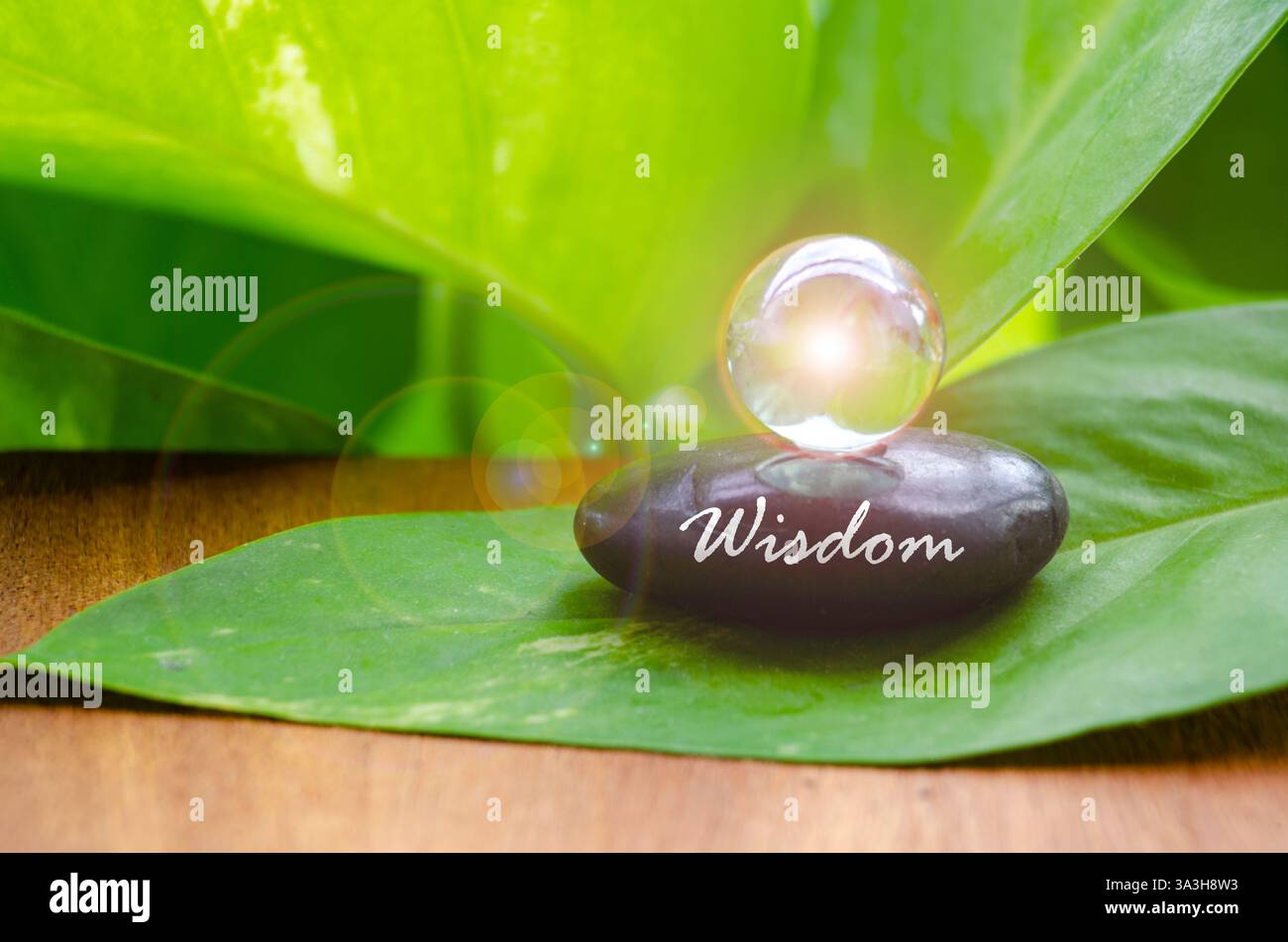 Wisdom text on black Zen stone on green leaf with shining glass marble ...