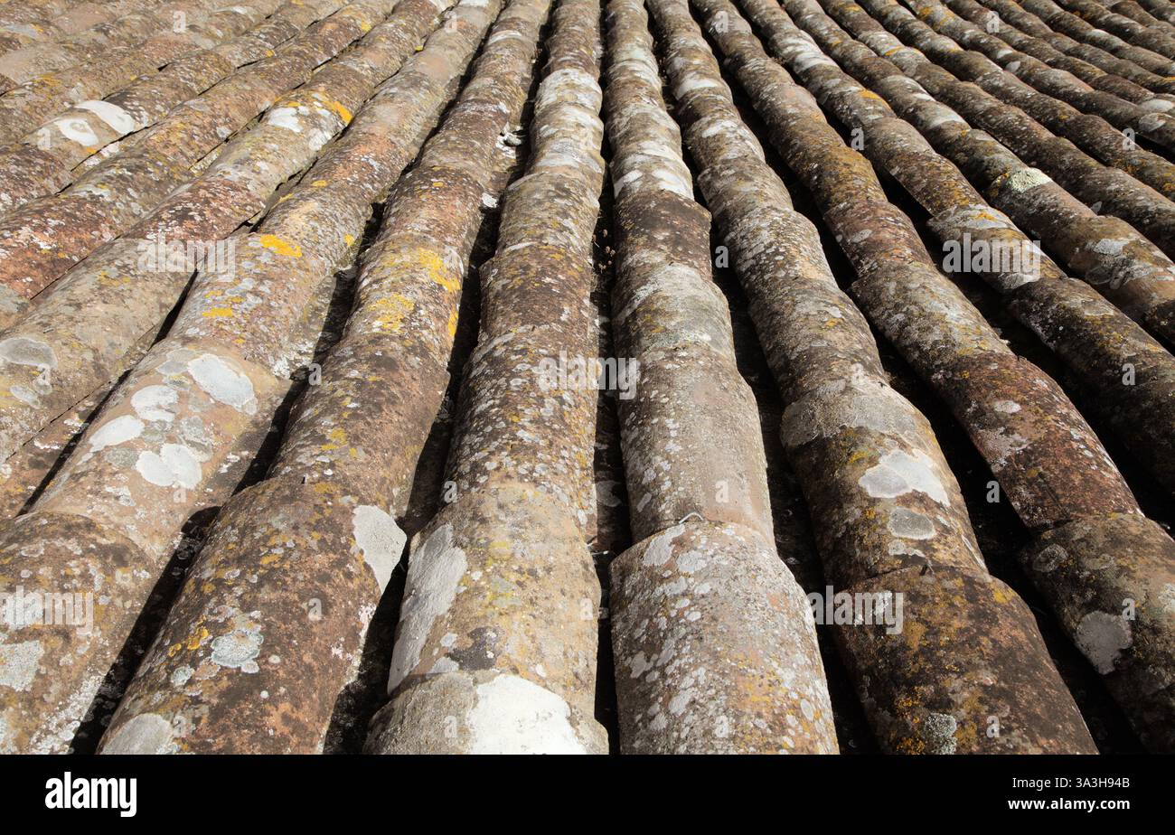 Old roof tiles feature a wavy arrangement, revealing textures, colors ...