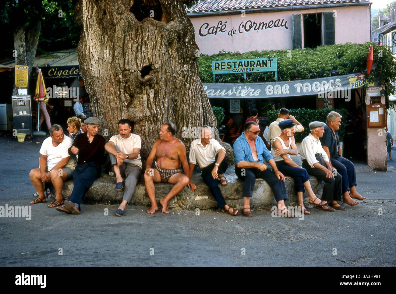Summer 1967. A group of local men sitting around an olive tree in Ramatuelle village near St ...