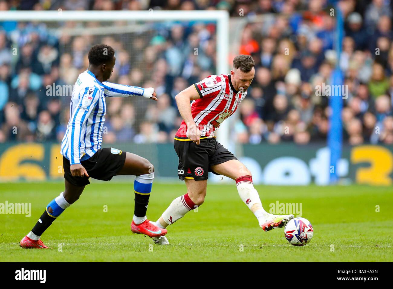 Sheffield, UK. 16th Mar, 2025. Sheffield United defender Jack Robinson ...