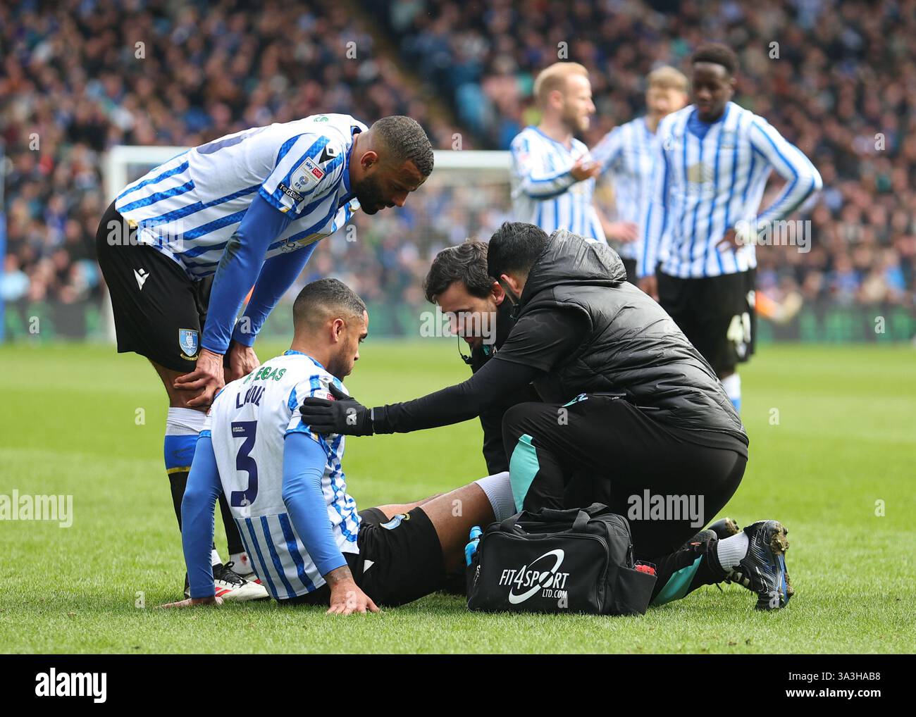 Sheffield, England, 16th March 2025. Max Lowe of Sheffield Wednesday ...
