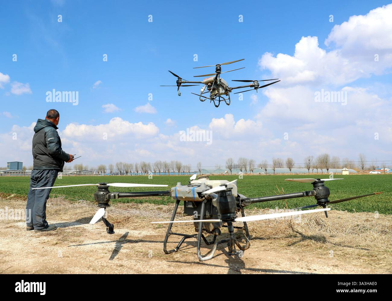 QINGDAO, CHINA - MARCH 16, 2025 - A plant protection drone is used to ...