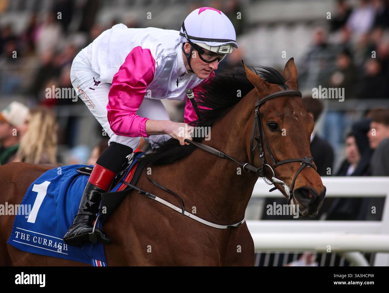 Power Blue ridden by David Egan on their way to winning the Castle Star At Capital Stud Irish ...