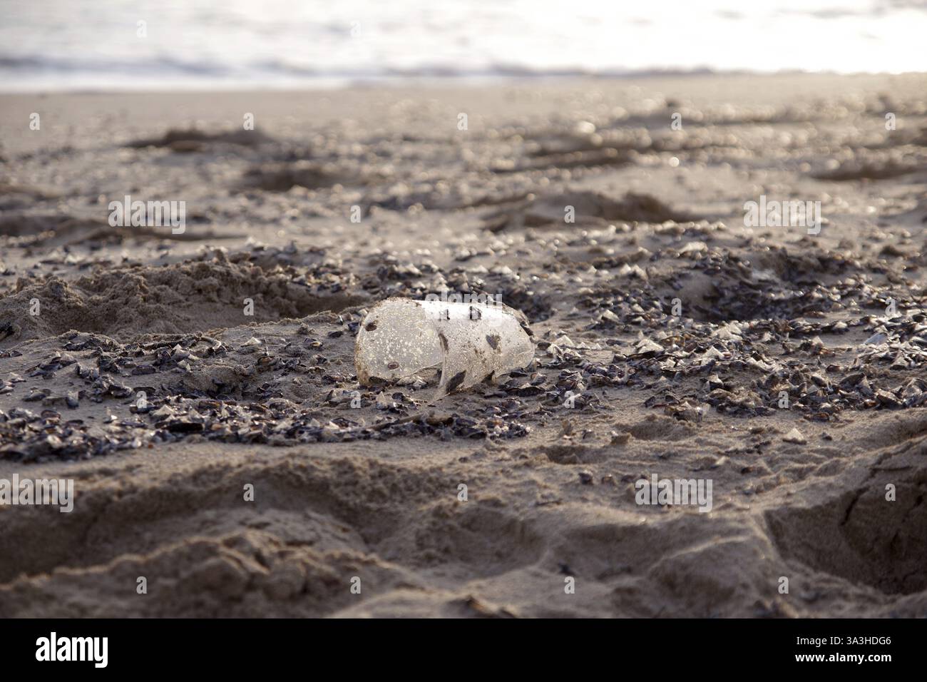 Plastic waste, pollution, Mediterranean Sea, Majorca, waste, A plastic ...