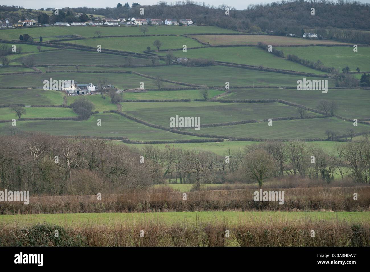 Dairy farm slurry covering fields, Llangyndeyrn, Gwendreath Fach valley ...