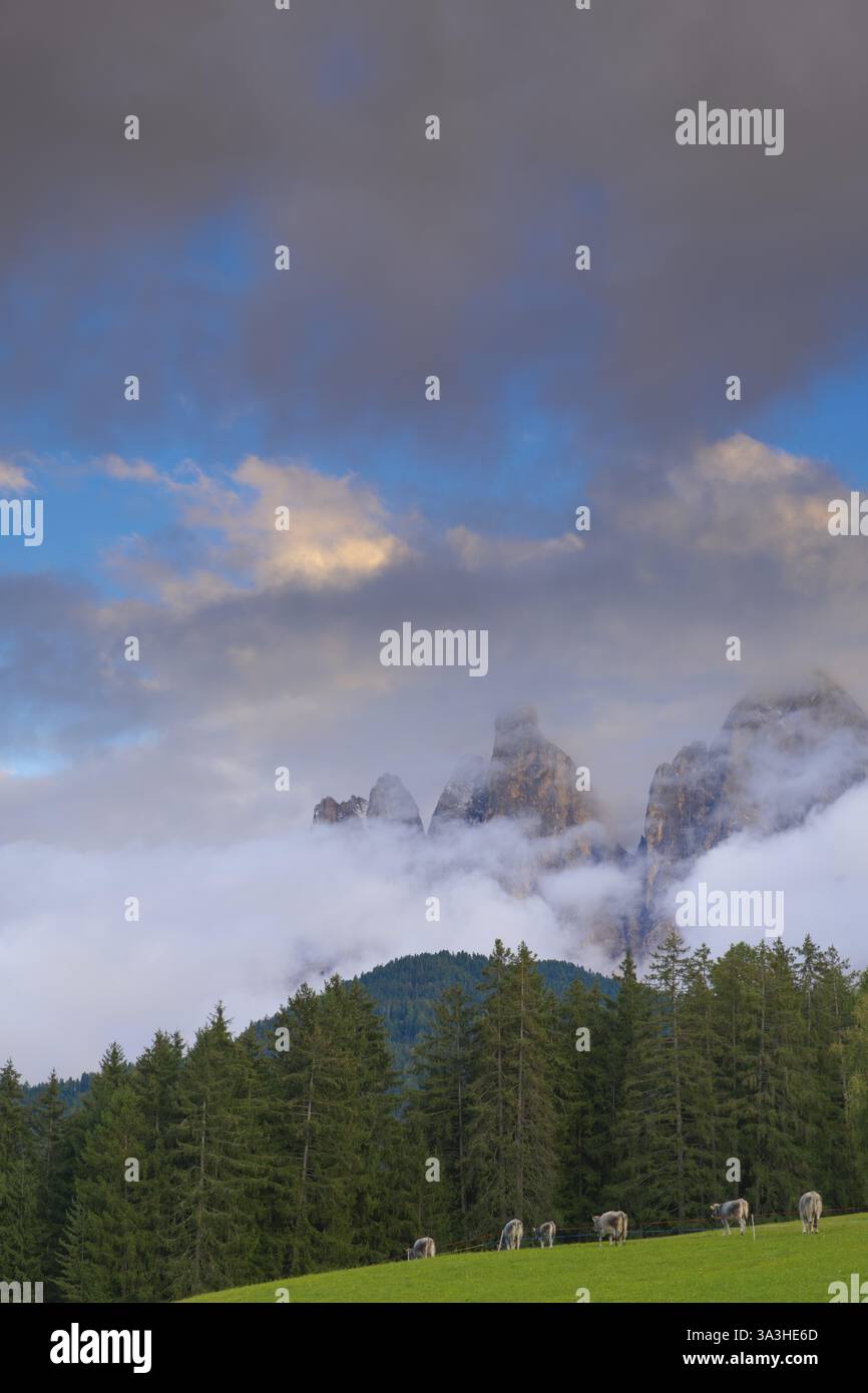 View of the partly cloudy Geisler Group, Dolomites, St. Magdalena ...