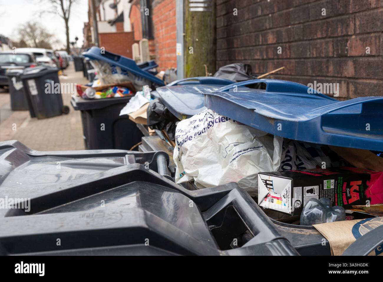 Birmingham, UK. 16th Mar, 2025. Overflowing bins lie uncollected on the streets of Selly Oak in ...