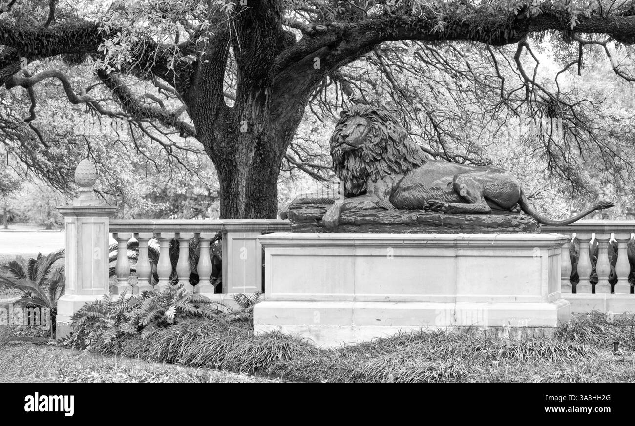 Lush vegetation trees serene Black and White Stock Photos & Images - Alamy