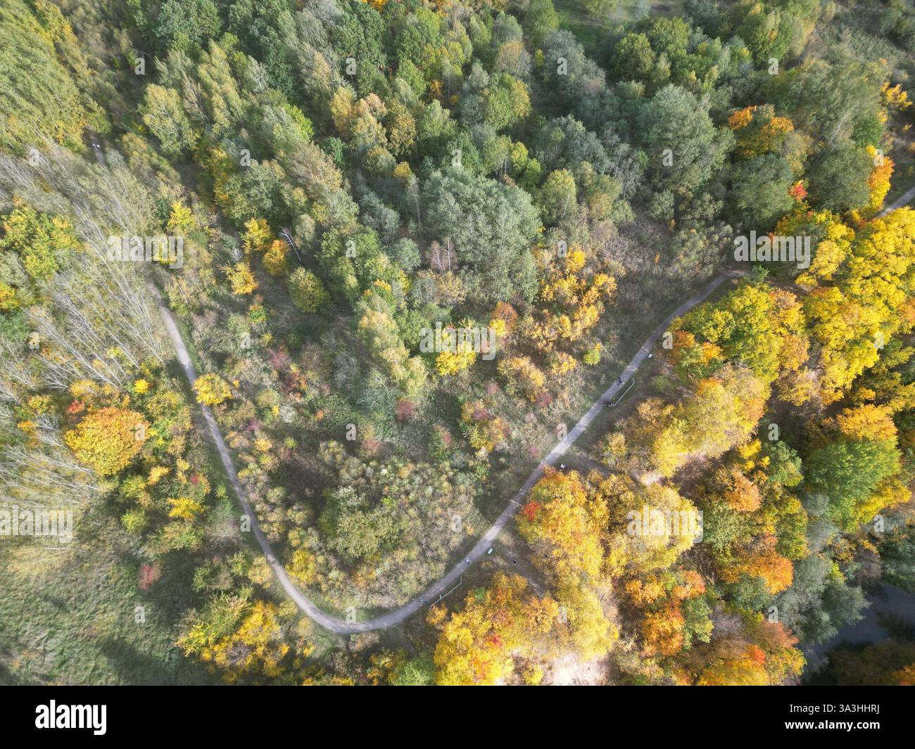 Aerial view colorful forest hi-res stock photography and images - Alamy