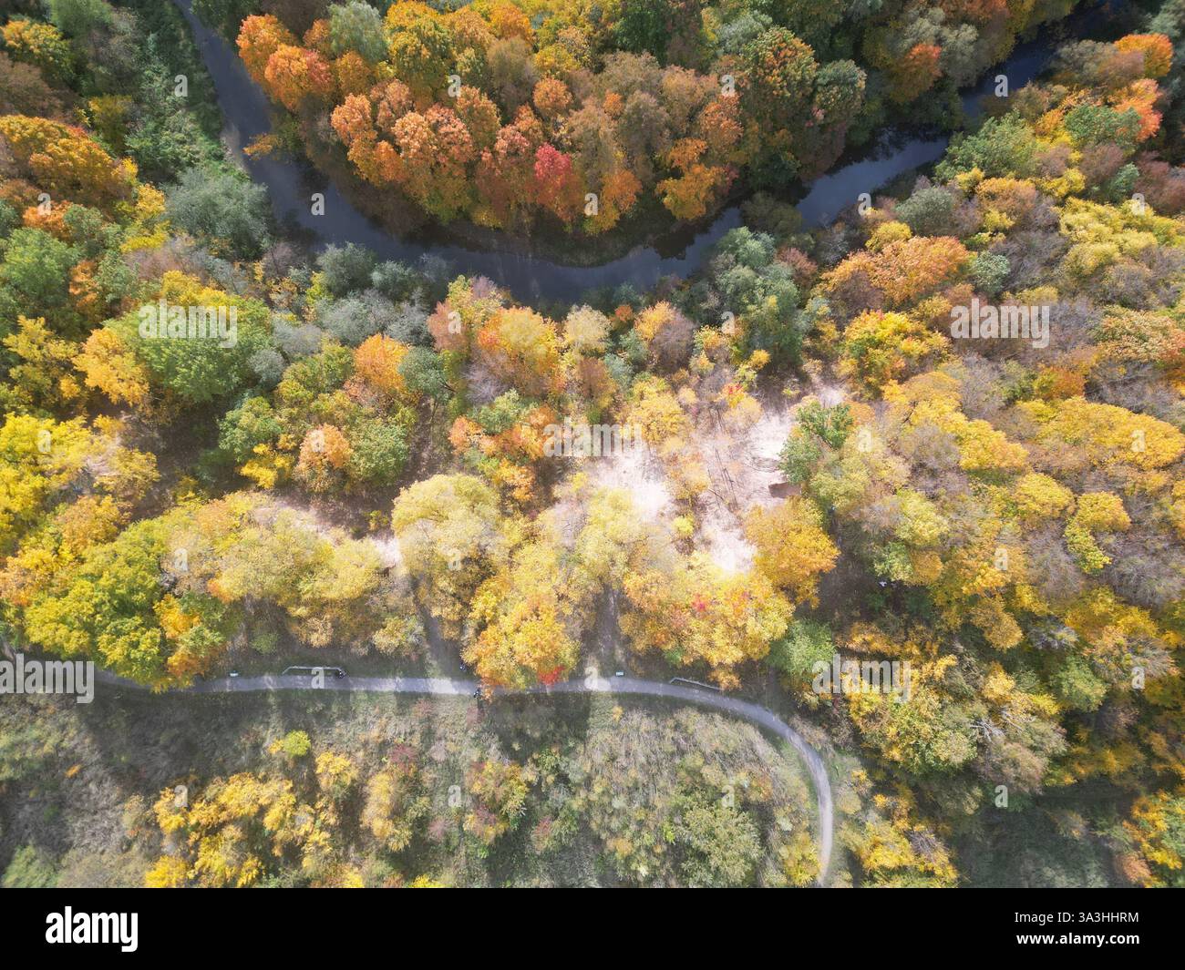 Aerial view of a colorful autumn forest Stock Photo - Alamy