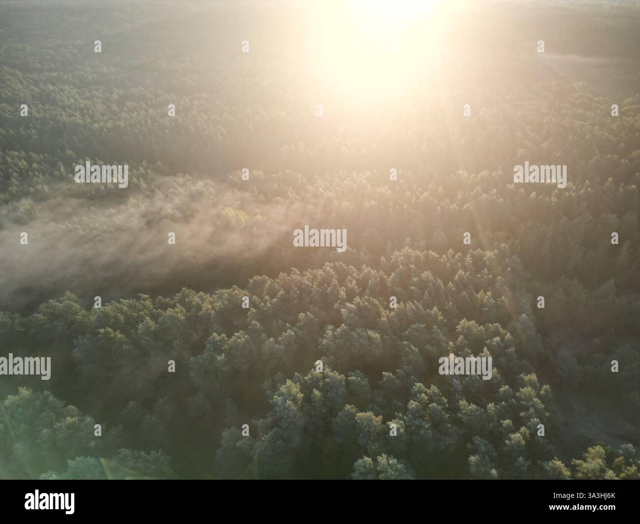 Aerial view misty forest sunrise hi-res stock photography and images ...