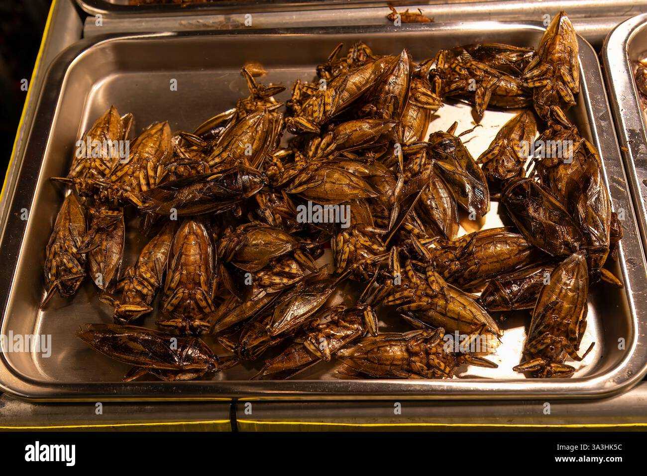 Cooked insects, street food, Chinatown, Bangkok, Thailand, Asia Stock ...