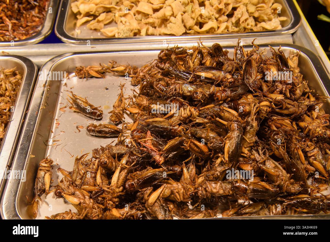 Cooked insects, street food, Chinatown, Bangkok, Thailand, Asia Stock ...