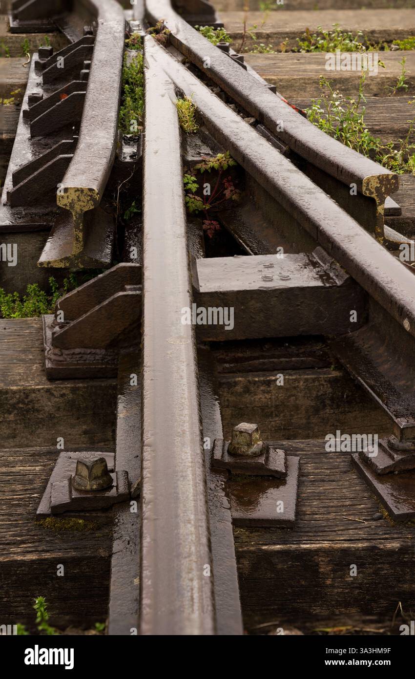Wet light. Railway junction track after rain Stock Photo - Alamy