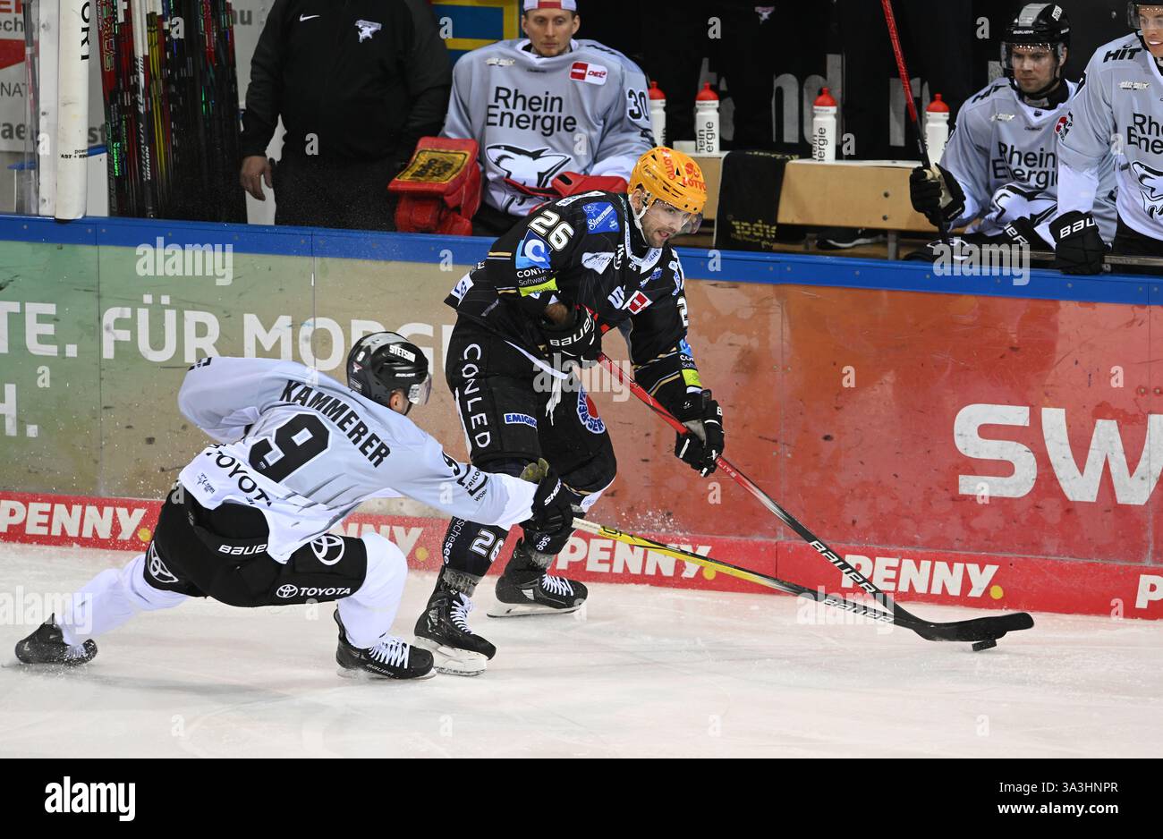 16 March 2025, Bremen, Bremerhaven: Ice hockey: DEL, Pinguins ...