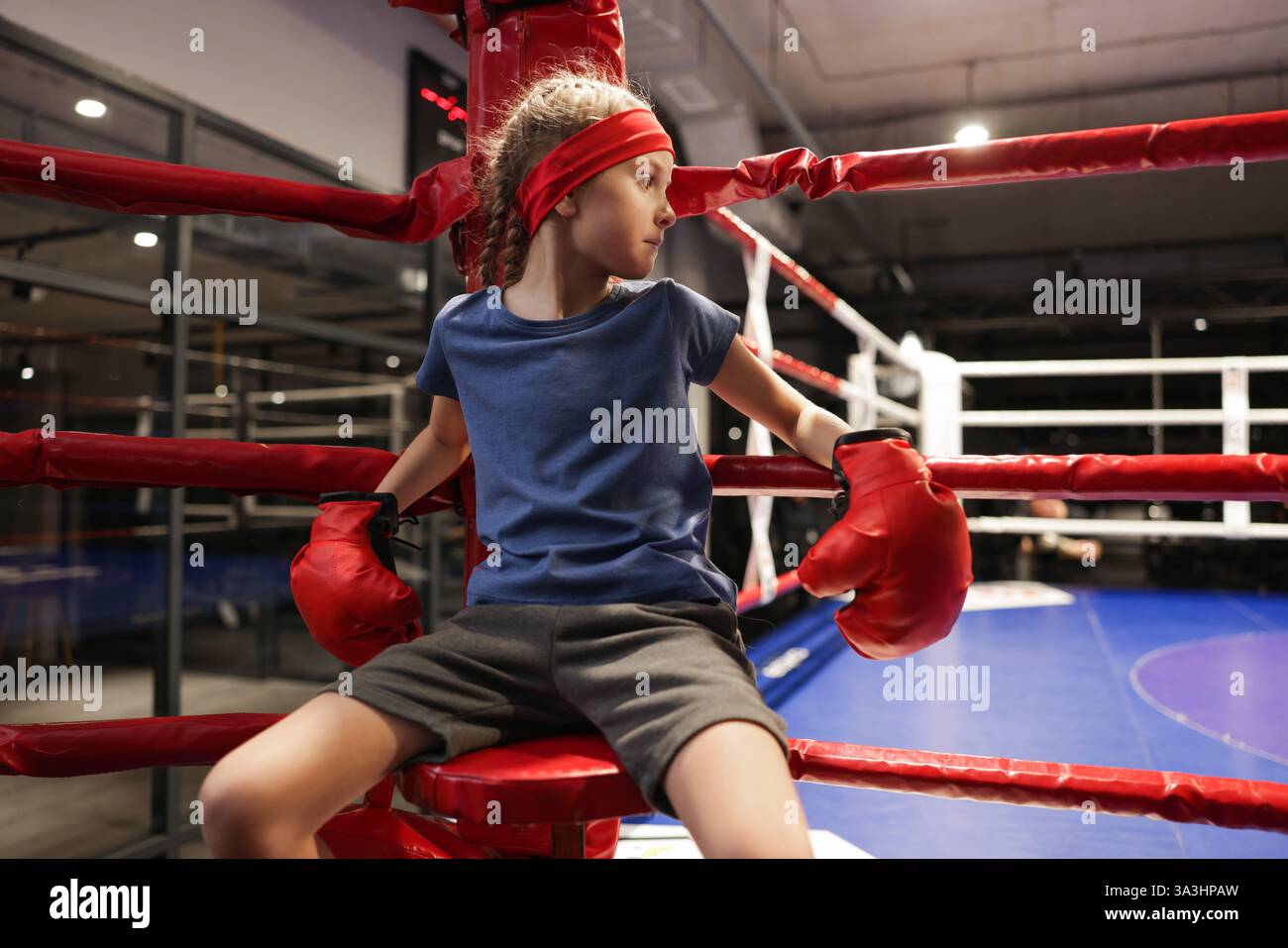 Girl sitting in her corner of boxing ring Stock Photo - Alamy