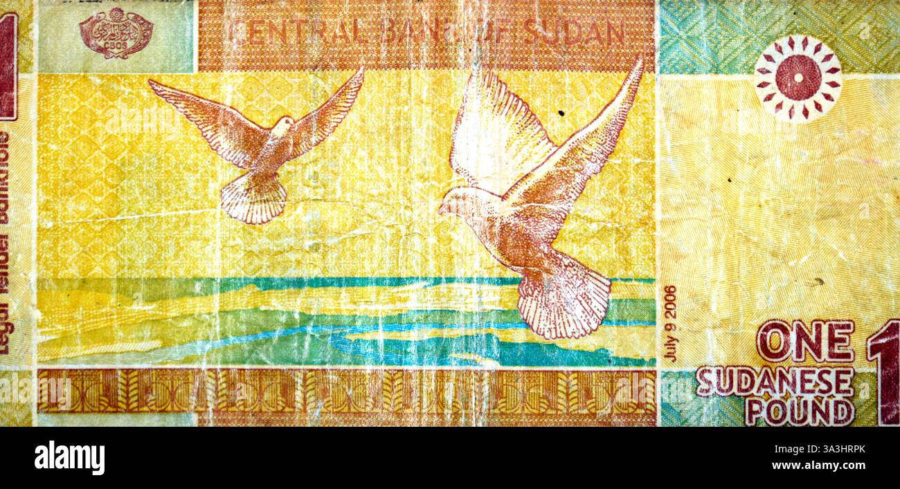 Large fragment of the reverse side of 1 SDG one Sudanese pound cash ...