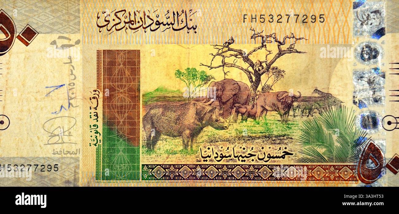 Large fragment of the obverse side of 50 SDG fifty Sudanese pound cash ...