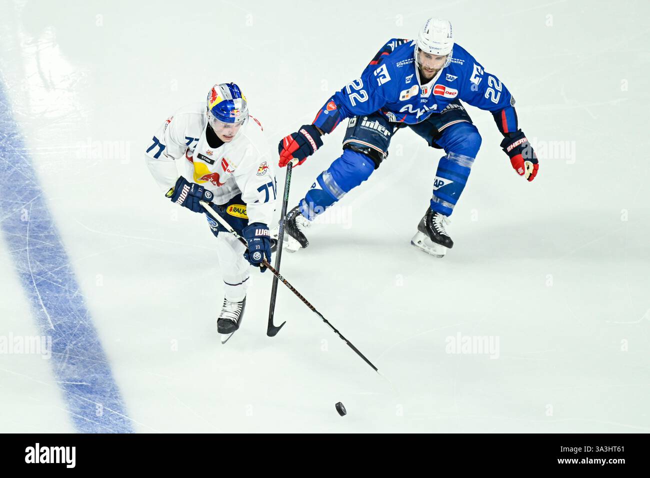 Mannheim, Germany. 16th Mar, 2025. Ice hockey: DEL, Adler Mannheim ...