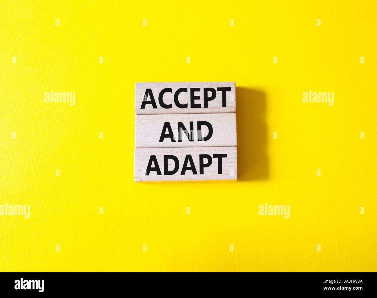 Accept or adapt symbol. Wooden blocks with words Accept and adapt ...