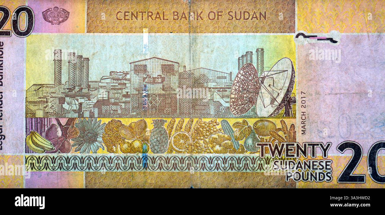 Large fragment of the reverse side of 20 SDG twenty Sudanese pounds ...