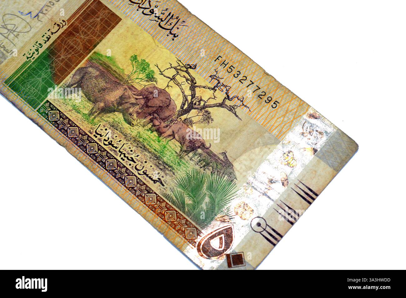 the obverse side of 50 SDG fifty Sudanese pound cash money bill ...
