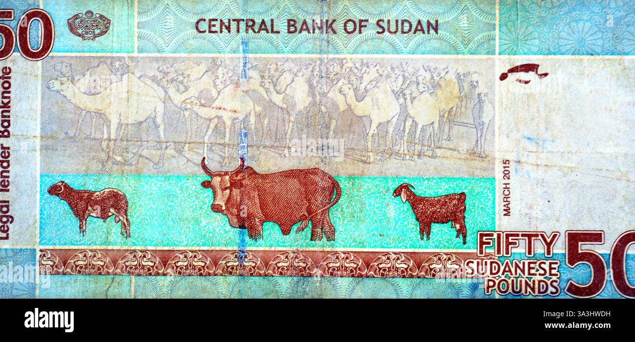 Large fragment of the reverse side of 50 SDG fifty Sudanese pound cash ...