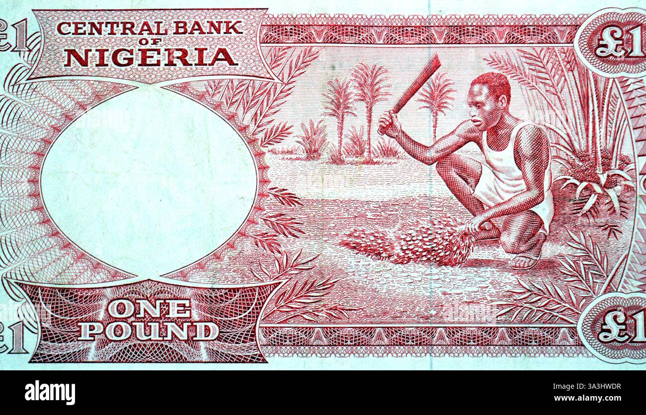 Large fragment of reverse side of 1 One Nigerian pound cash money ...