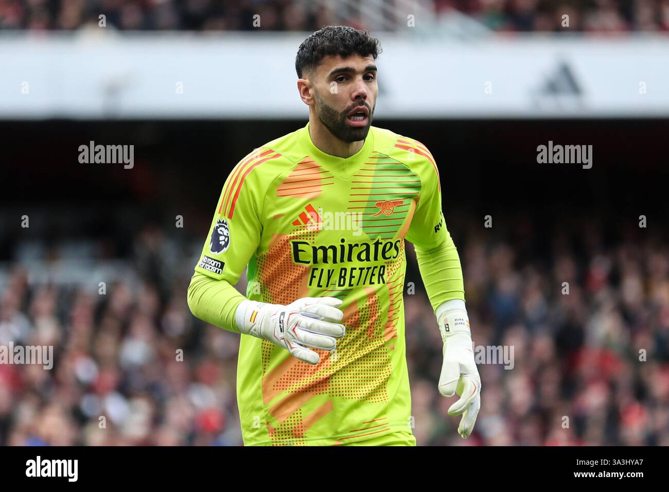 David Raya of Arsenal during the Premier League match Arsenal vs ...
