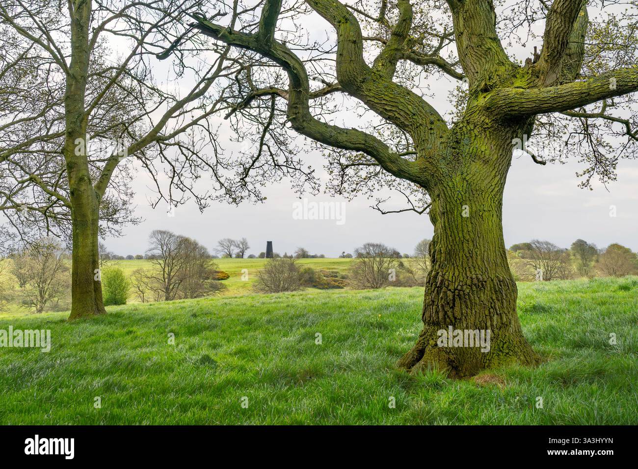 Westwood public parkland with disused windmill on horizon and landscape ...