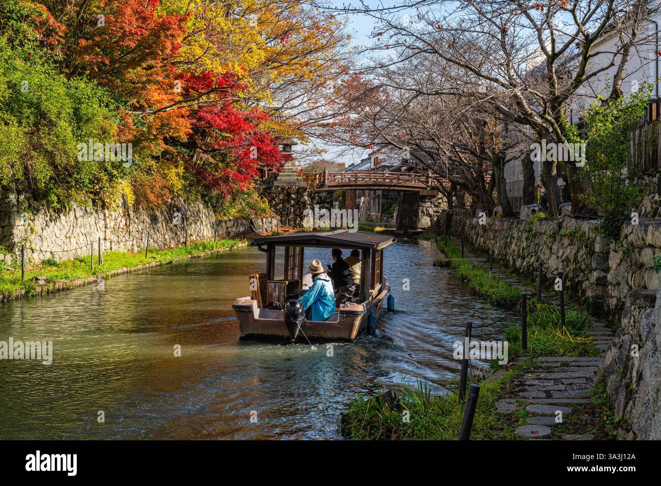 Scenic sight of Hachiman-bori canal in Omihachiman during fall season ...