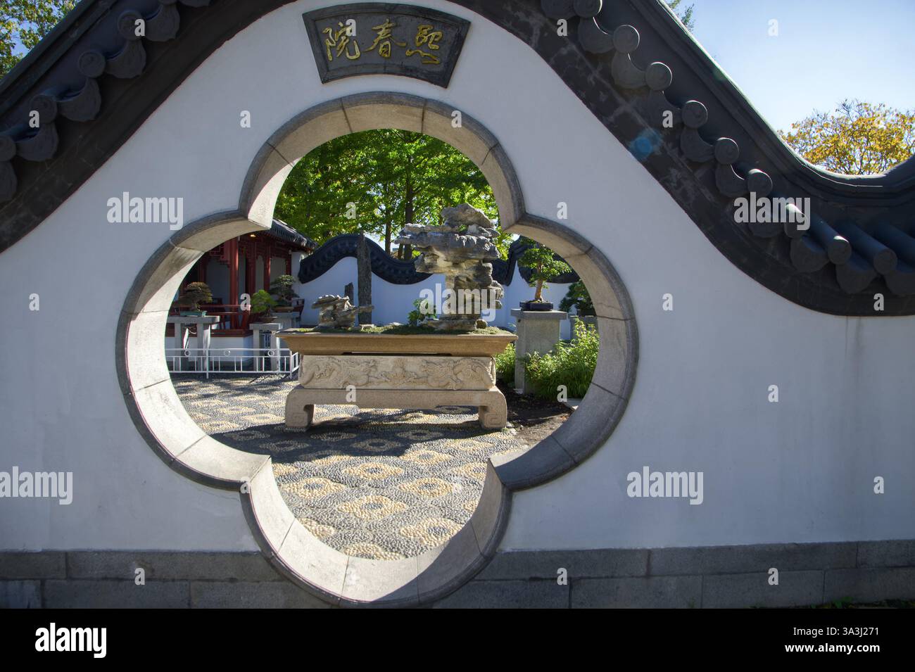 Bonsai tree through a window in the Chinese Garden, Montreal Botanical ...