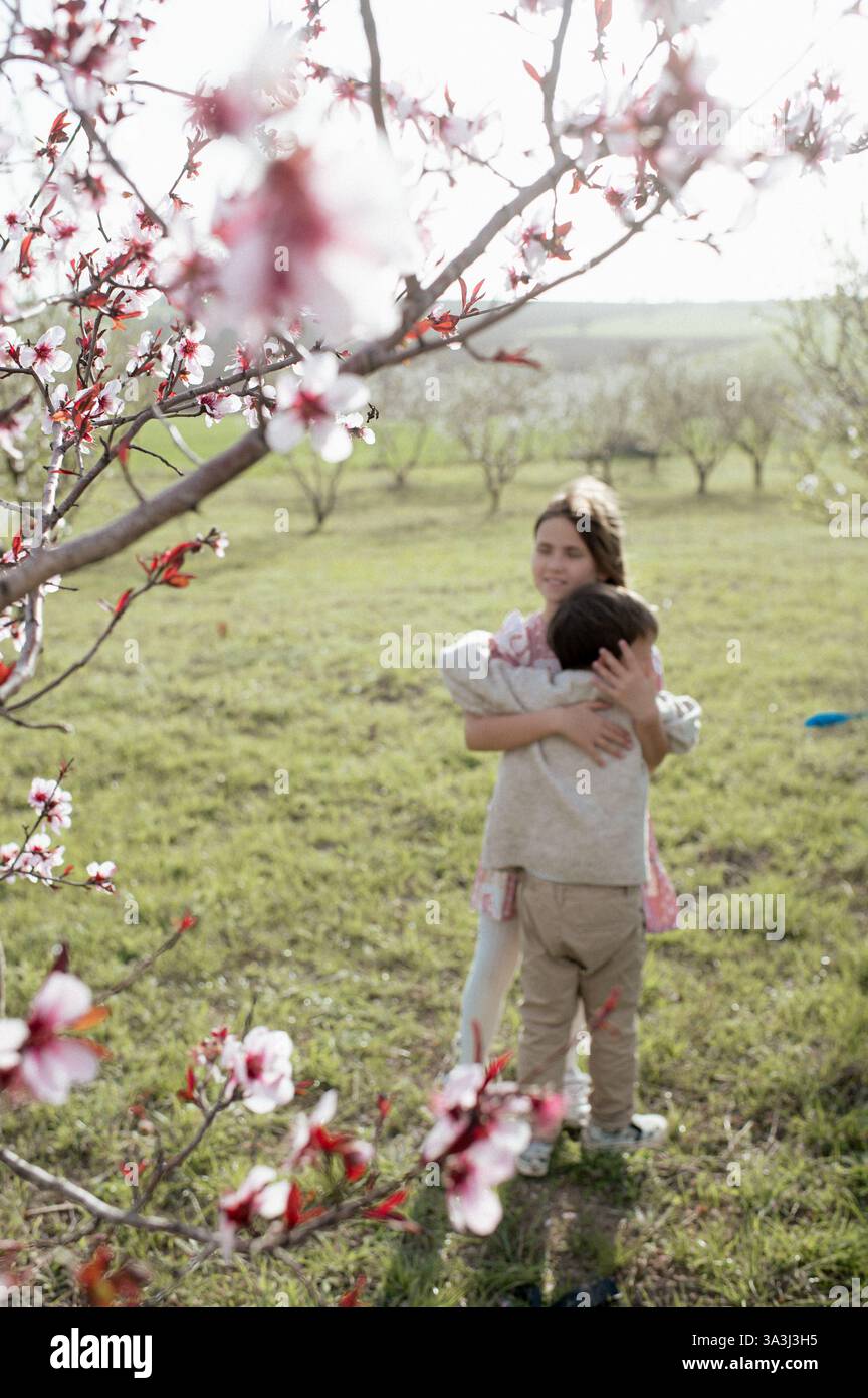A brother and sister embrace joyfully beneath blooming almond trees ...