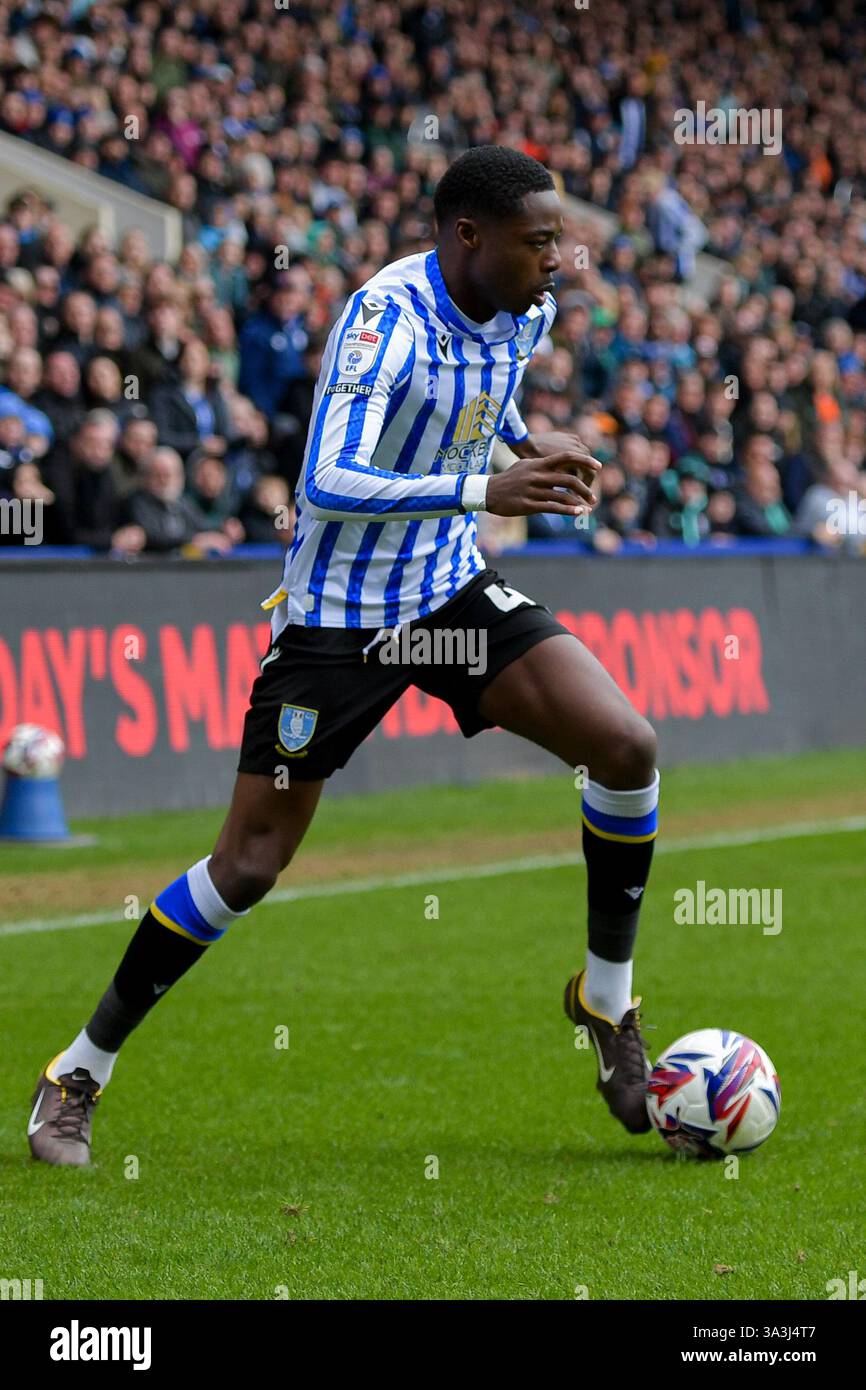 Sheffield, UK. 16th March, 2025. Sheffield Wednesday's Djeidi Gassama ...